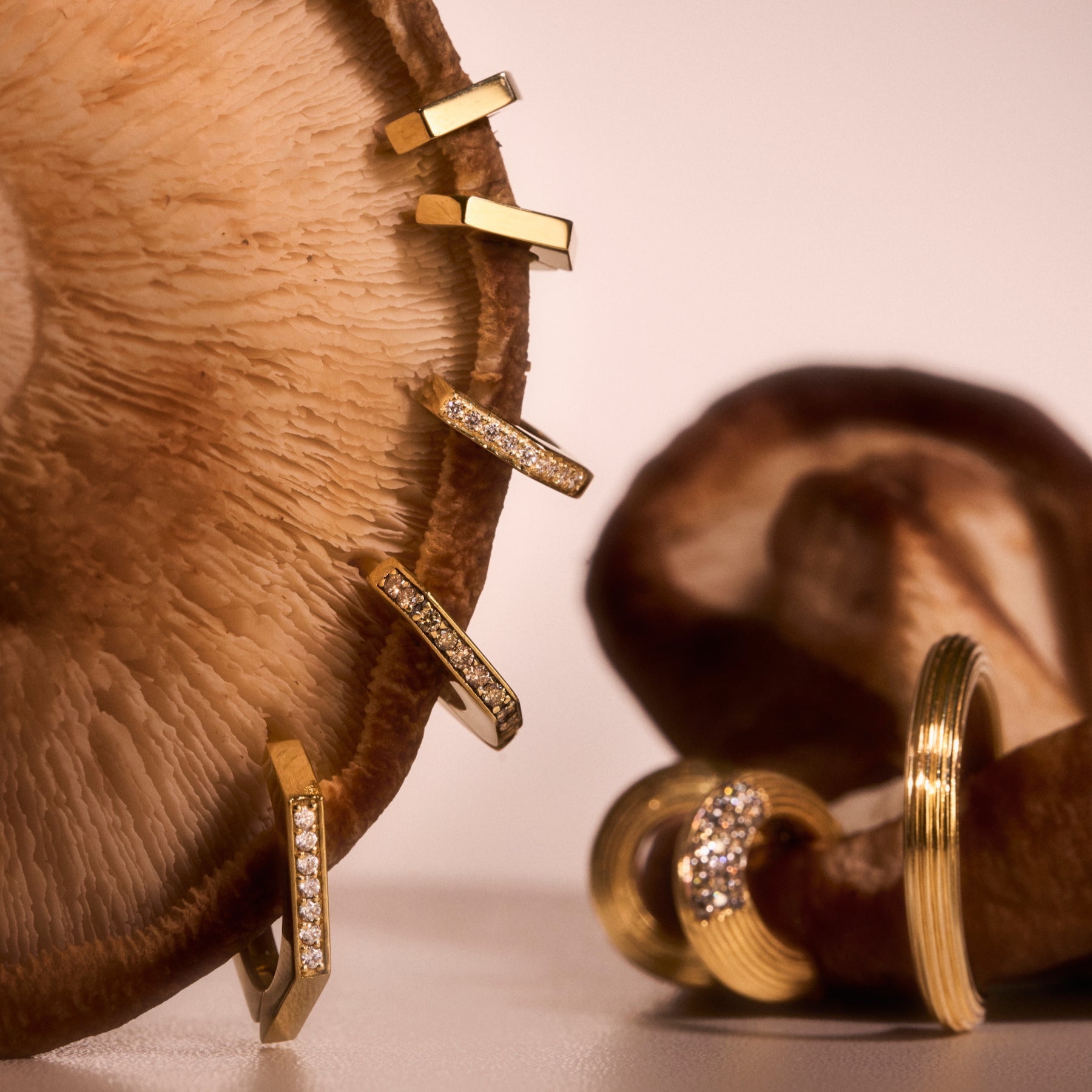 PROJEBIR - Earrings – projebir.com